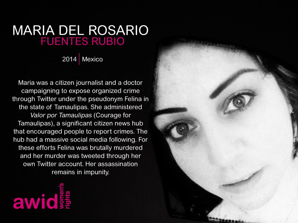 Maria del Rosario Fuentes Rubio | AWID