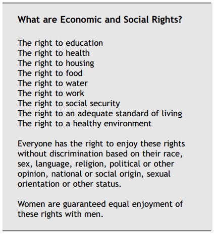 Achieving Women’s Economic and Social Rights: Strategies and Lessons ...
